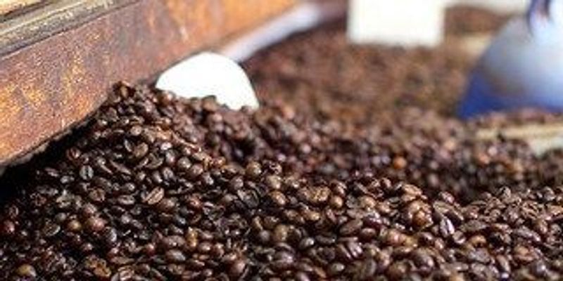 Study: Coffee Cuts Cancer Risk | The Scientist