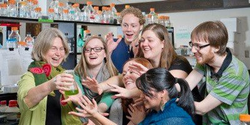 Bridging Two Worlds The Scientist