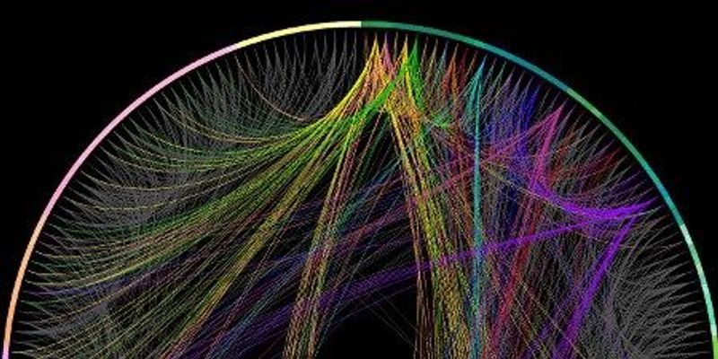 Mouse Brain Connections Mapped | The Scientist