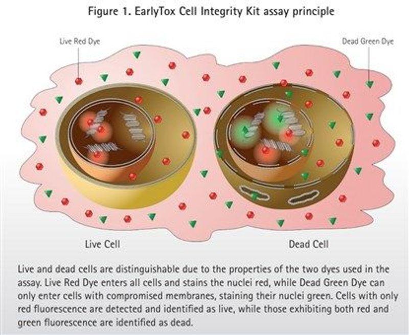 EarlyTox Cell Integrity Assay Kit | The Scientist