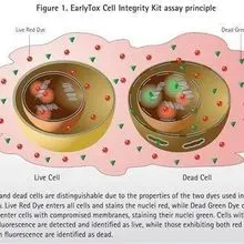 Molecular Devices Profile | The Scientist