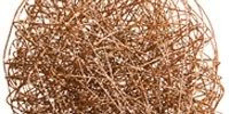 Metals on our Mind | The Scientist