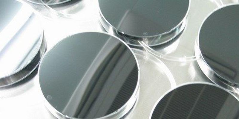 More STAP Trouble | The Scientist