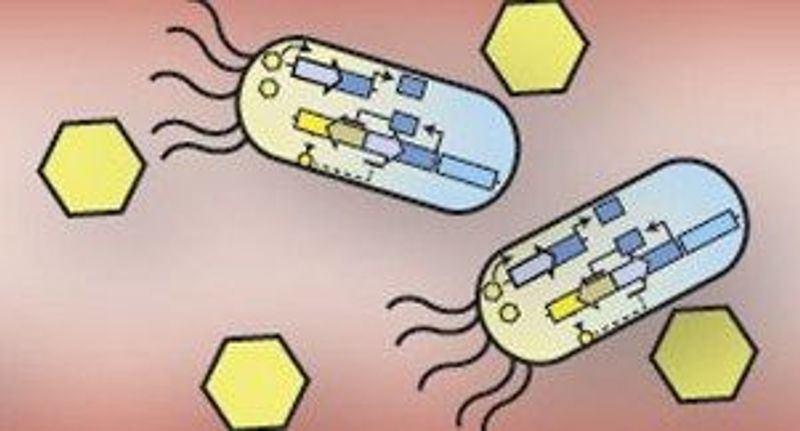 Engineered Microbes Act as Sensors | The Scientist