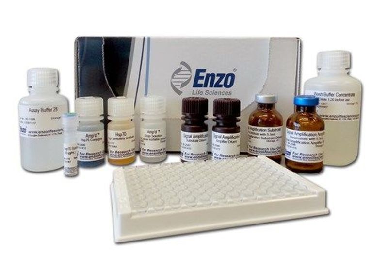 Amp'd™ HSP70 High Sensitivity ELISA Kit | The Scientist