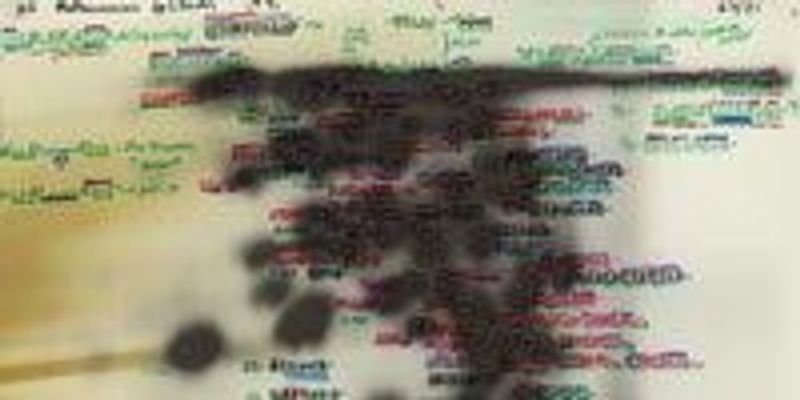 Discovering Archaea, 1977 | The Scientist