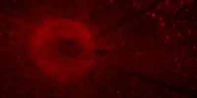 Next Generation: Photoswitch Chemical Restores Sight | The Scientist