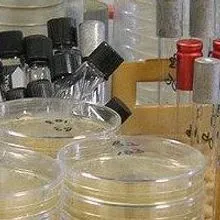 Opinion: Translational Biotechnology | The Scientist