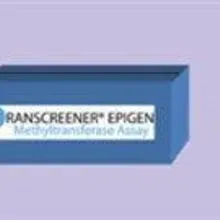 BellBrook Labs Profile | The Scientist