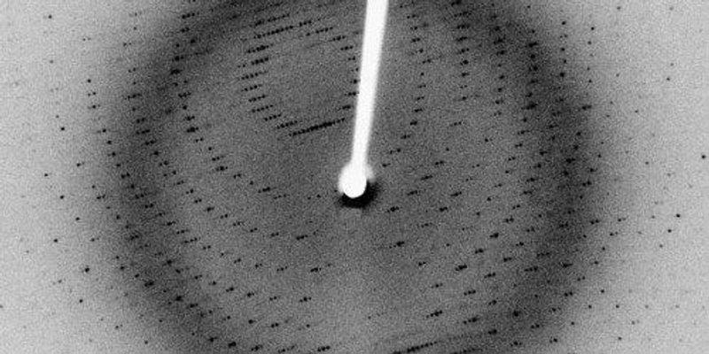 The Year of Crystallography | The Scientist