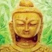 David P. Barash Author Profile | The Scientist