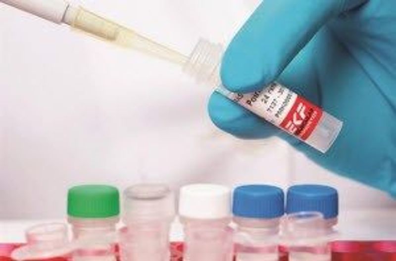 PointMan enriches low-level DNA mutations from whole blood | The Scientist