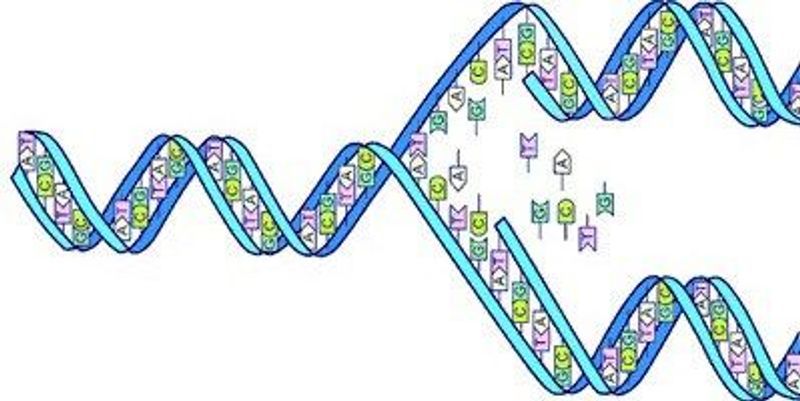 $1,000 Genome at Last? | The Scientist Magazine®