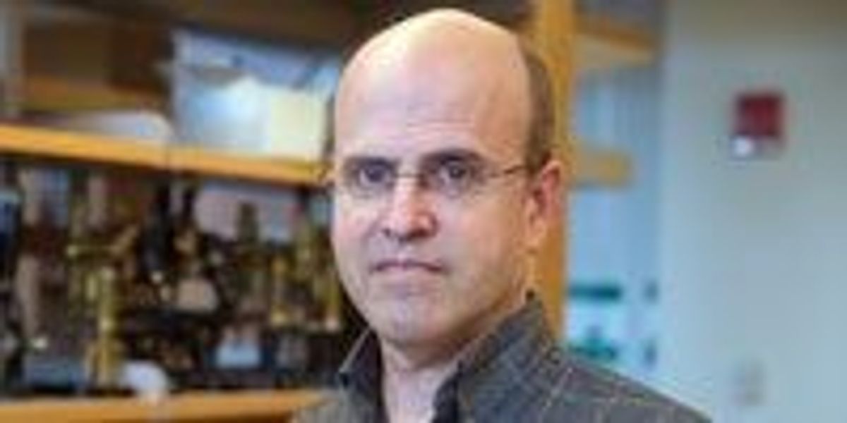 Richard Goldschmidt's Instagram, Twitter & Facebook on IDCrawl