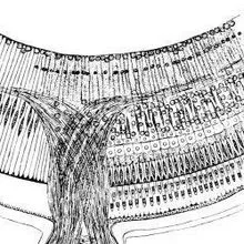 Retinal Cells Printed by Inkjet | The Scientist