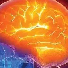 NIH Marks Millions for Brain Injury | The Scientist