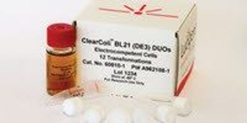 Lucigen ClearColi - E. coli that lacks LPS | The Scientist