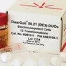 Lucigen Profile | The Scientist