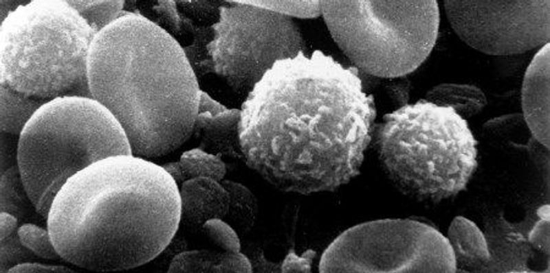 Scandalous GSK Paper Retracted | The Scientist