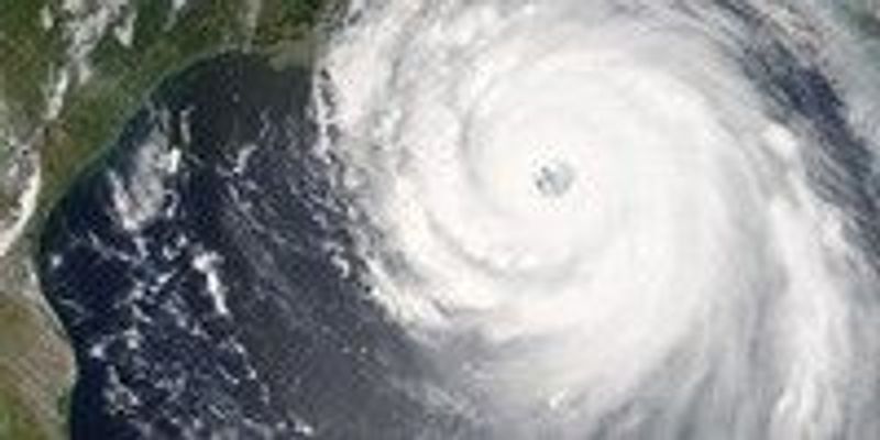 Weathering the Storm | The Scientist