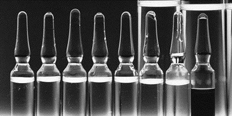 Gut Flora Boost Cancer Therapies | The Scientist