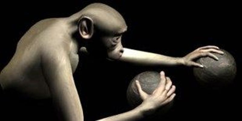 Monkey-Machine Interface | The Scientist