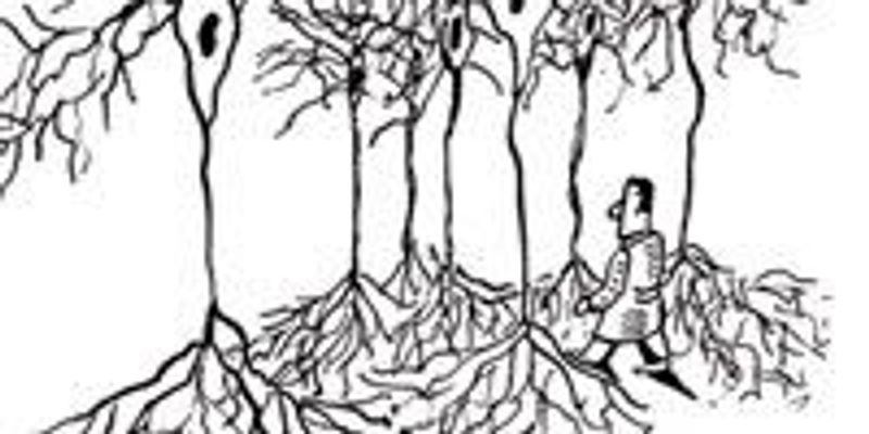Exploring the Neuron Forest | The Scientist