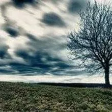 Impact Forecasts Cloudy | The Scientist