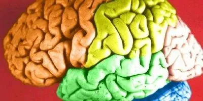 DARPA Supports Brain Treatment | The Scientist