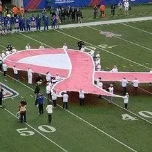 NFL Gear Yields Little for Cancer | The Scientist