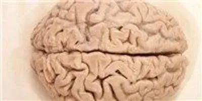 Traces of Life | The Scientist