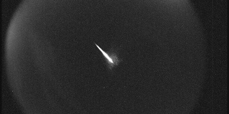 Point of Impact | The Scientist