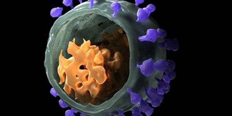 SIV Vaccine Success | The Scientist