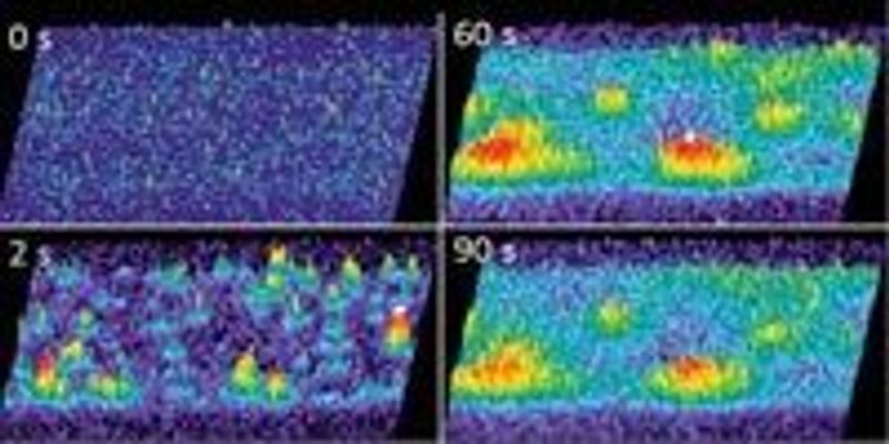 Flexible Cells | The Scientist