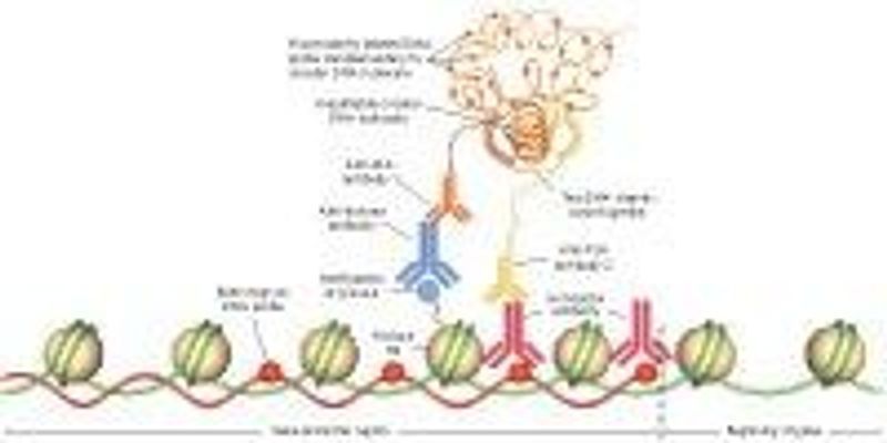 Precision Epigenetics | The Scientist