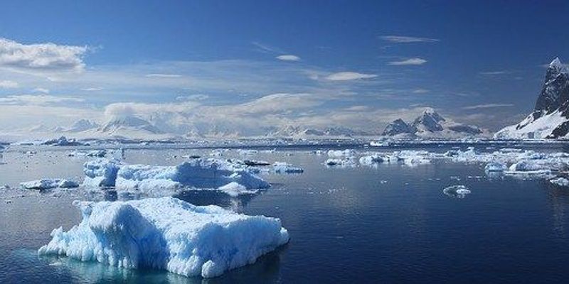 Extreme Expression | The Scientist