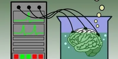 DIY Self-Tracking Device | The Scientist