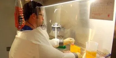 Safe Flu Research Strategy | The Scientist