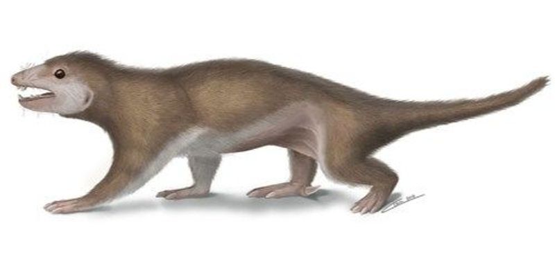 Fossils Snarl Mammalian Roots | The Scientist