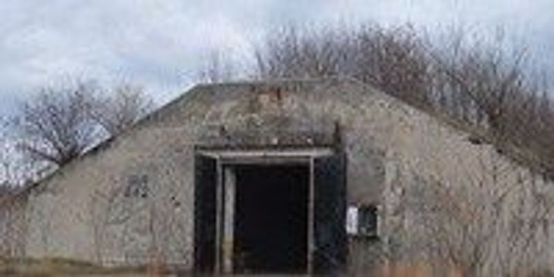 Bunker Bats | The Scientist