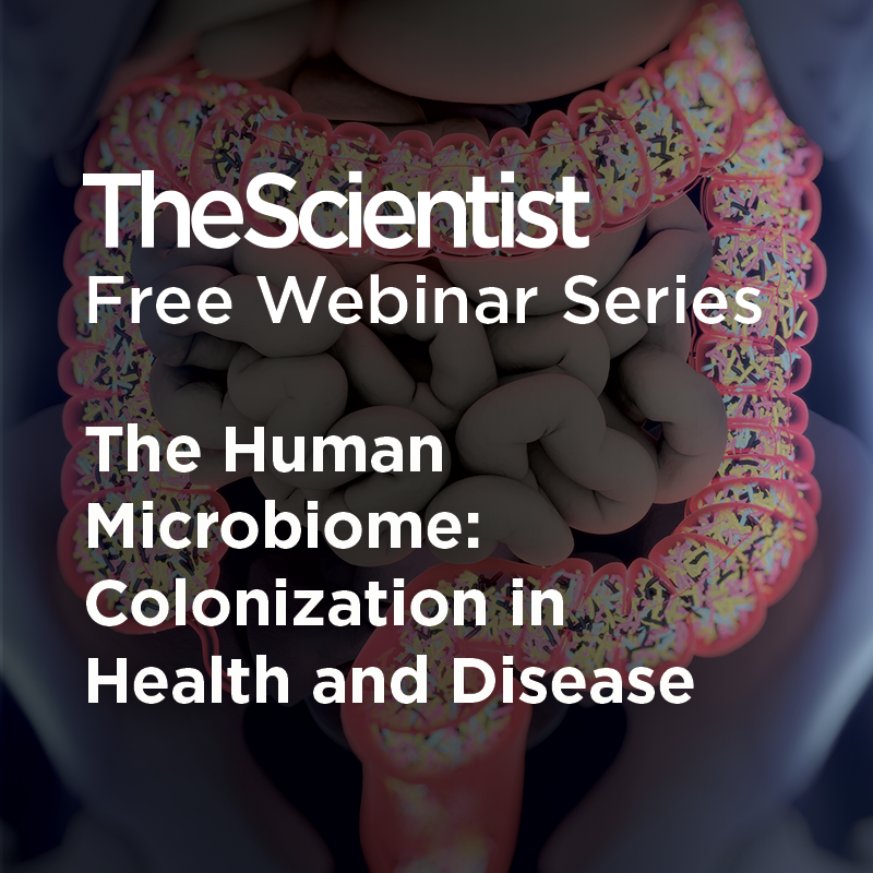 The Human Microbiome: Colonization in Health and Disease | The Scientist