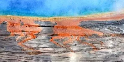 Image of the Day: Hot Spring Microbes | The Scientist