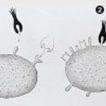 Histology | The Scientist