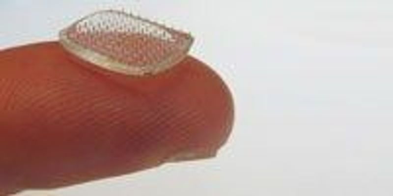 Sticking Power | The Scientist