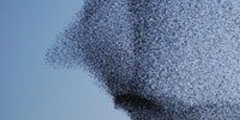 Crowd Control | The Scientist