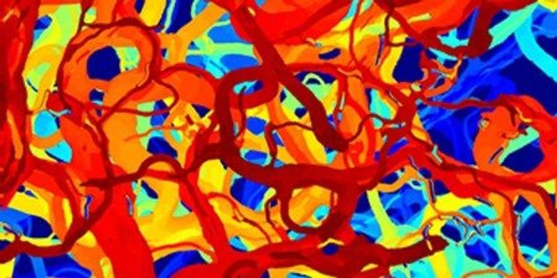 The Art of Science | The Scientist Magazine®