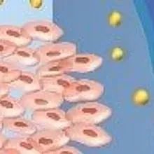 Nanosensor | The Scientist