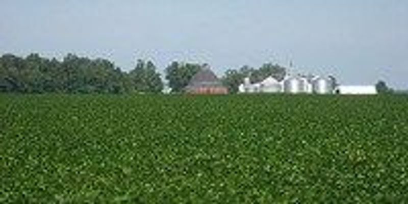 Supreme Court Sides with Monsanto | The Scientist