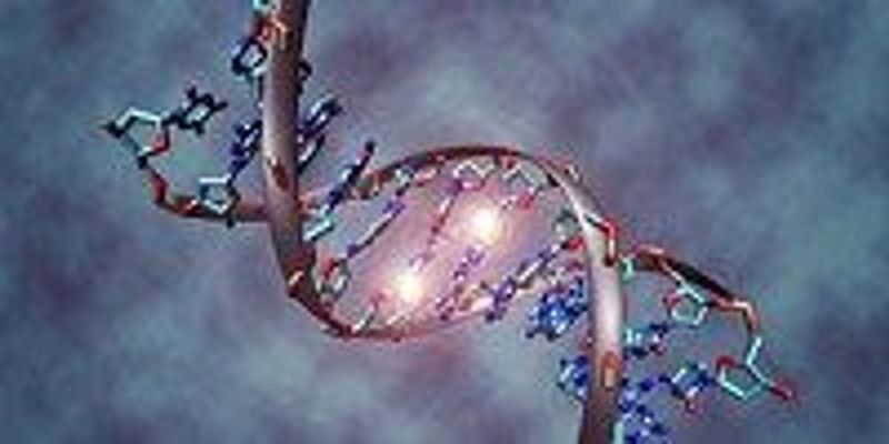 Epigenetics of Embryonic Stem Cells | The Scientist