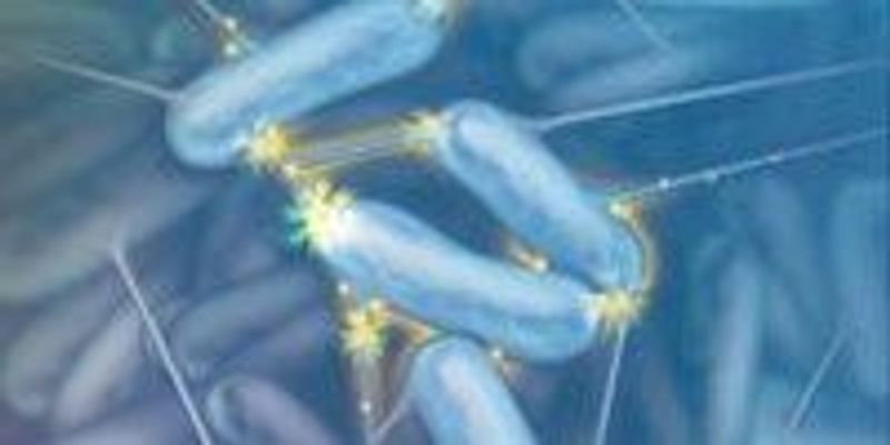 Live Wires | The Scientist